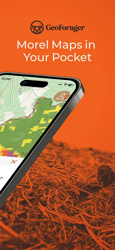 Burn Morel Hunting Maps & Apps with Wildfire & Logging Data
