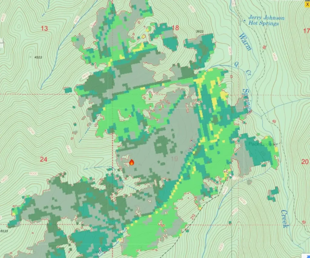 Hiking to find Forest Fire Morels - Maps & Tips - Geo Forager