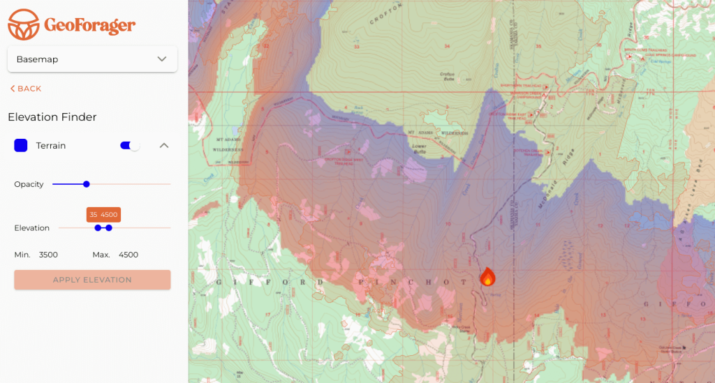 Burn Morel Hunting Overview: WA Williams Mine Fire
