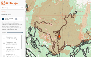 Burn Morel Hunting Overview: WA Williams Mine Fire
