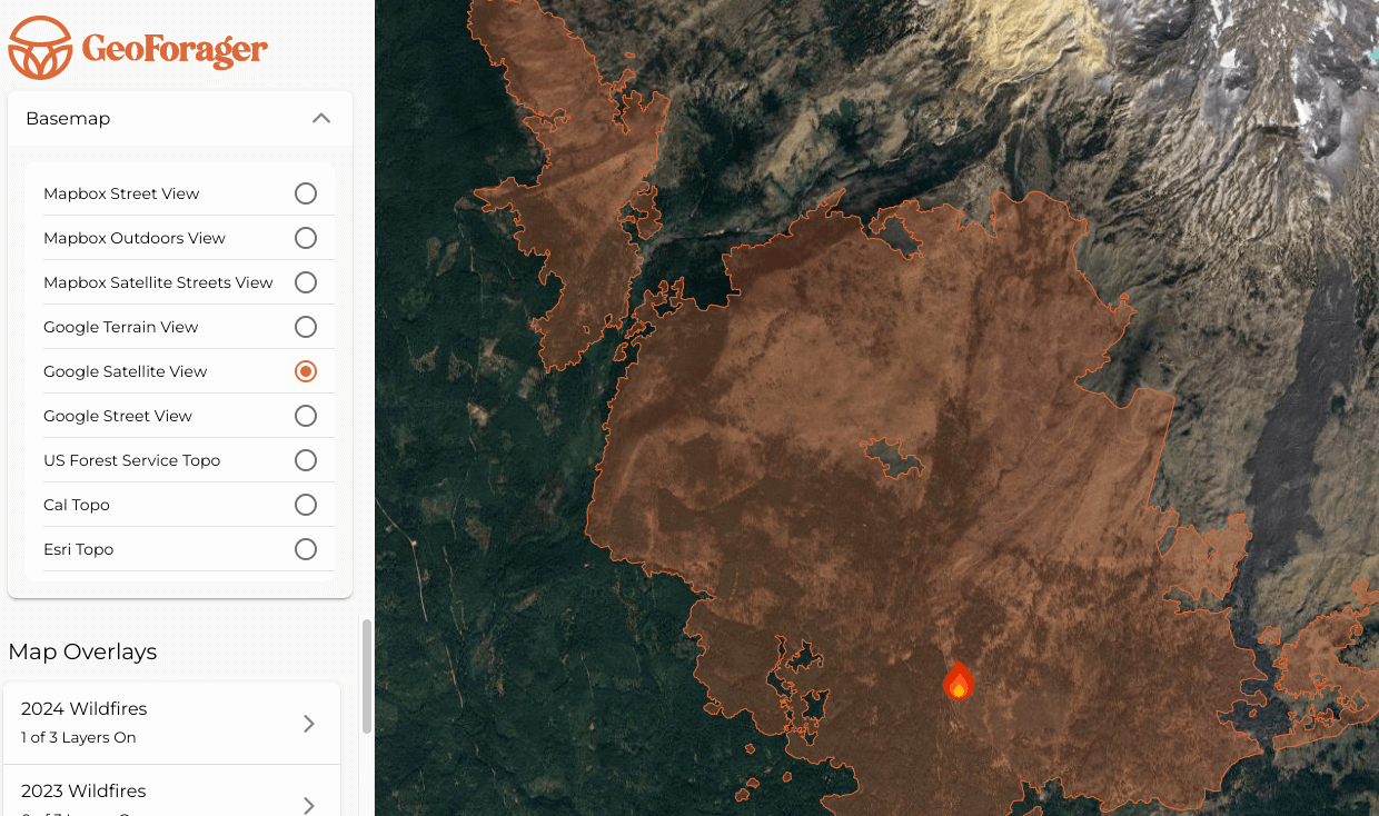 Burn Morel Hunting Overview: WA Williams Mine Fire